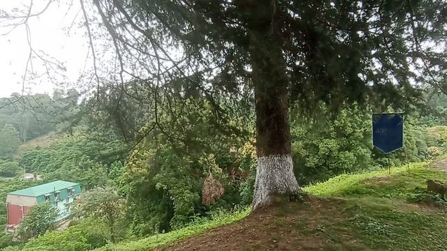 Практика на привлечение внимания мужчин/женщин