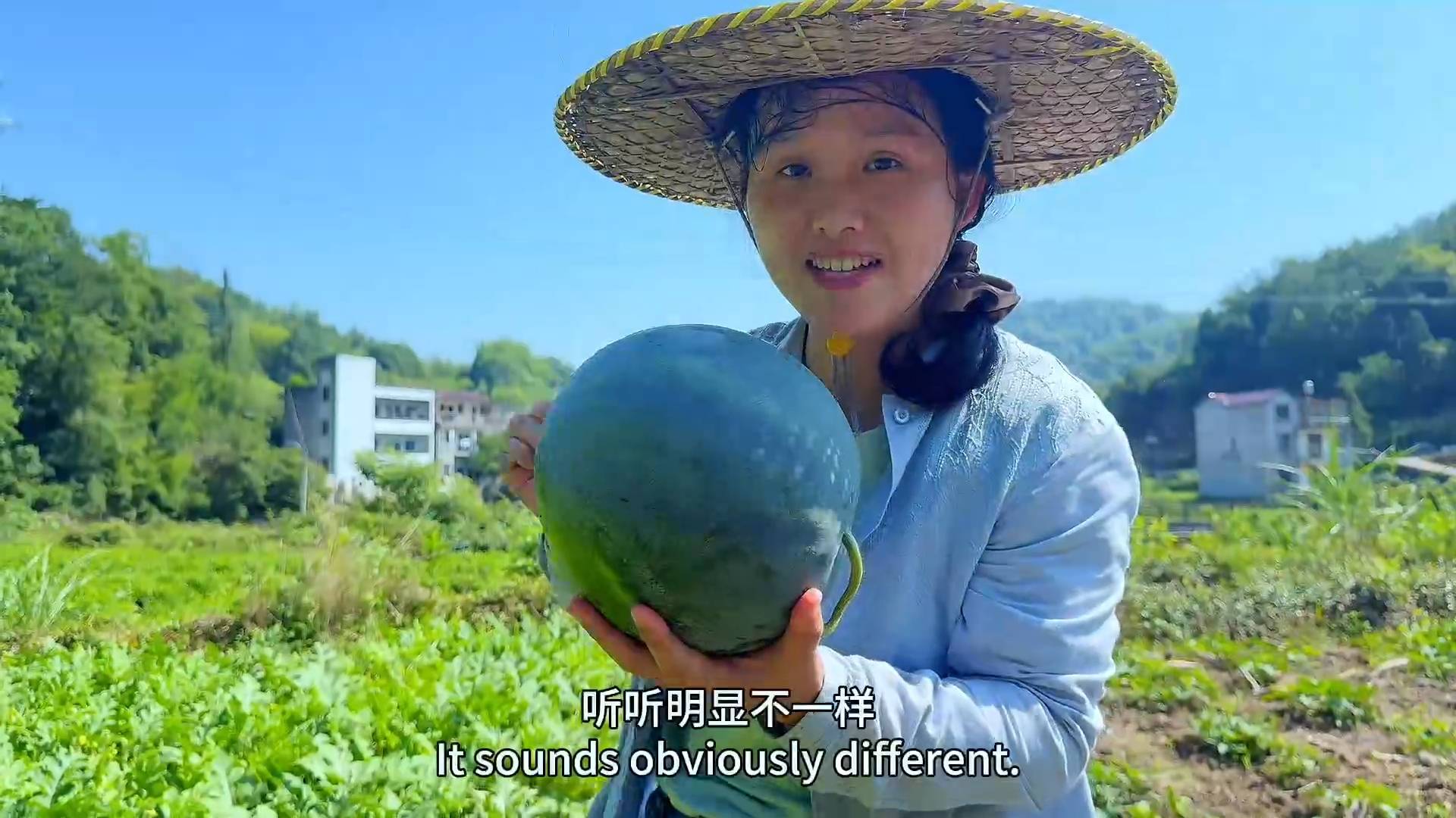 Сяо Ли - Арбуз наконец-то созрел, первый глоток лета самый сладкий