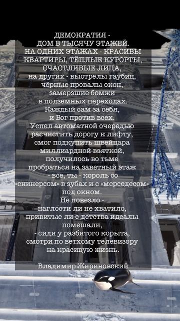 ДЕМОКРАТИЯ - ДОМ В ТЫСЯЧУ ЭТАЖЕЙ. В.Жириновский #цитаты #shorts #стихи