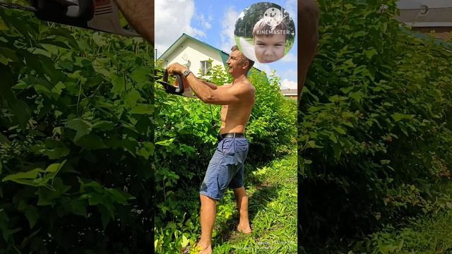 Домашние хлопоты , июль 2025