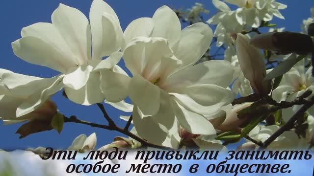 МАГНОЛИЯ. Цветочный гороскоп 1-10 апреля