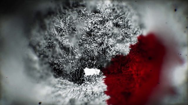 Стихотворение «Молитва». Яков Полонский. Царские дни-2025