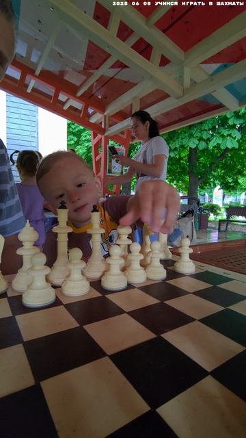2025 06 08 УЧИМСЯ ИГРАТЬ В ШАХМАТЫ  4К