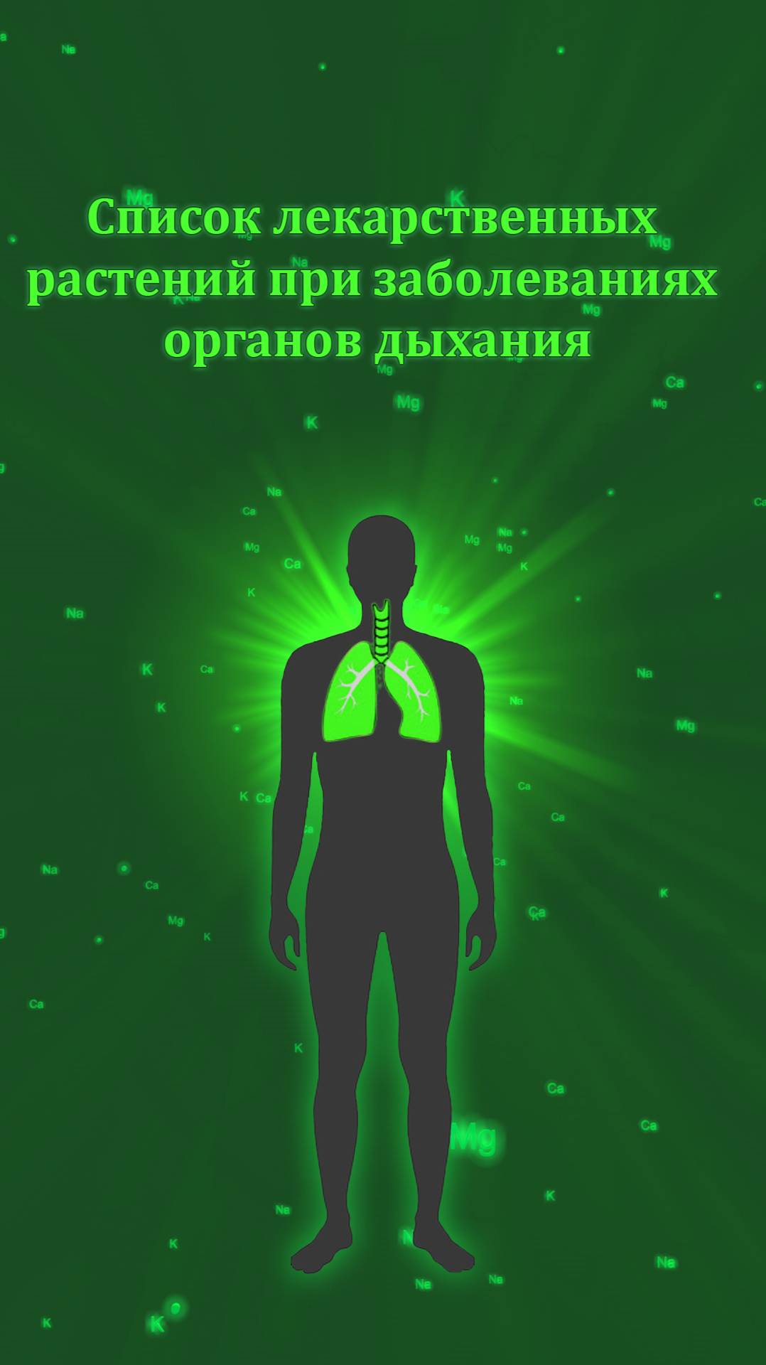 Лекарственные растения при заболеваниях лёгких