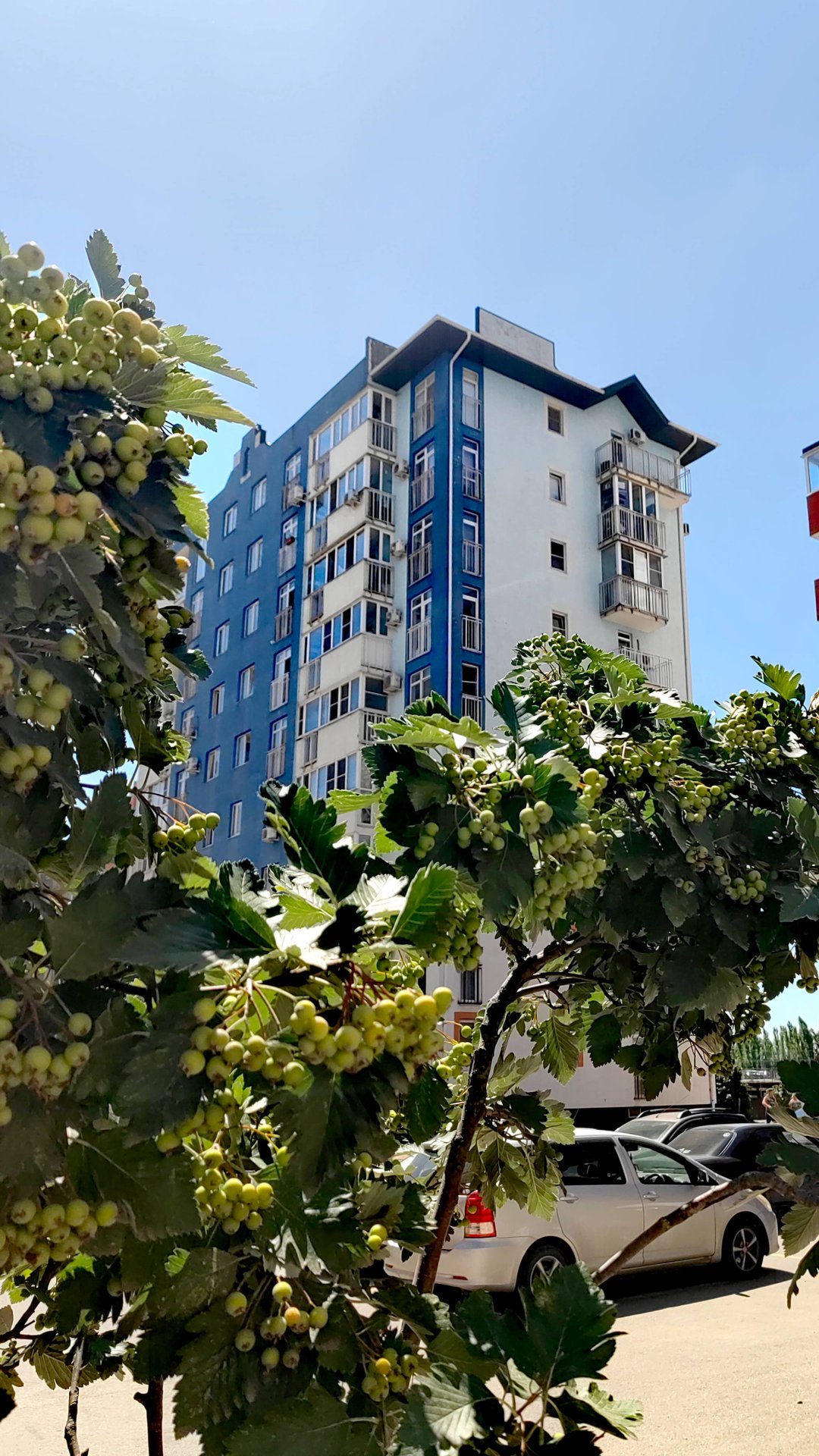 Вторичный рынок Краснодара. Квартира в Немецкой деревне. АН Гауди риелт. тел. 88007770154