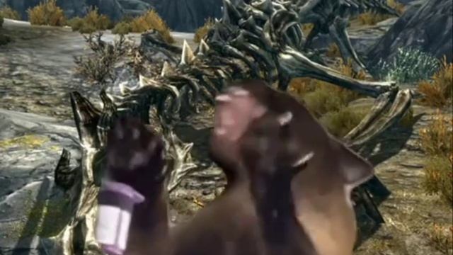 POV: Каджит убил своего первого дракона и пытается произнести Слово силы.