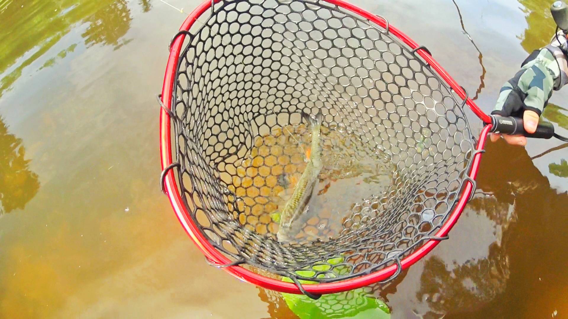 РЫБАЧИМ НА СПИННИНГ, ОХОТА ЗА ГОЛАВЛЕМ В МУТНОЙ ВОДЕ.