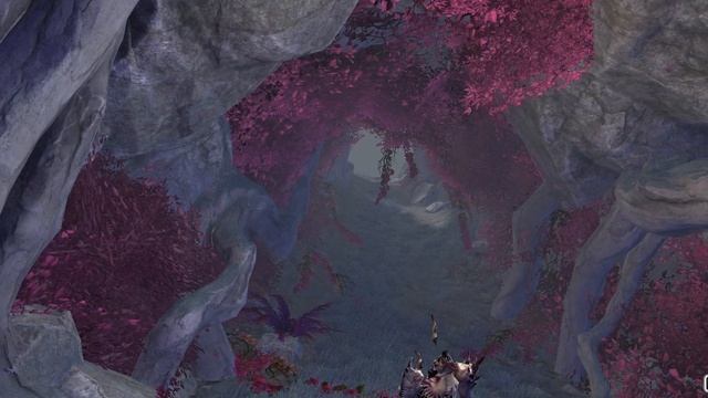 Inner Nayos - Все 7 Vista (Guild Wars 2)