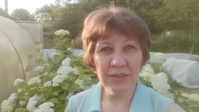 ВЛОГ На пруду и на даче