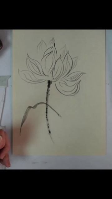 лотос суми-э шорт 2