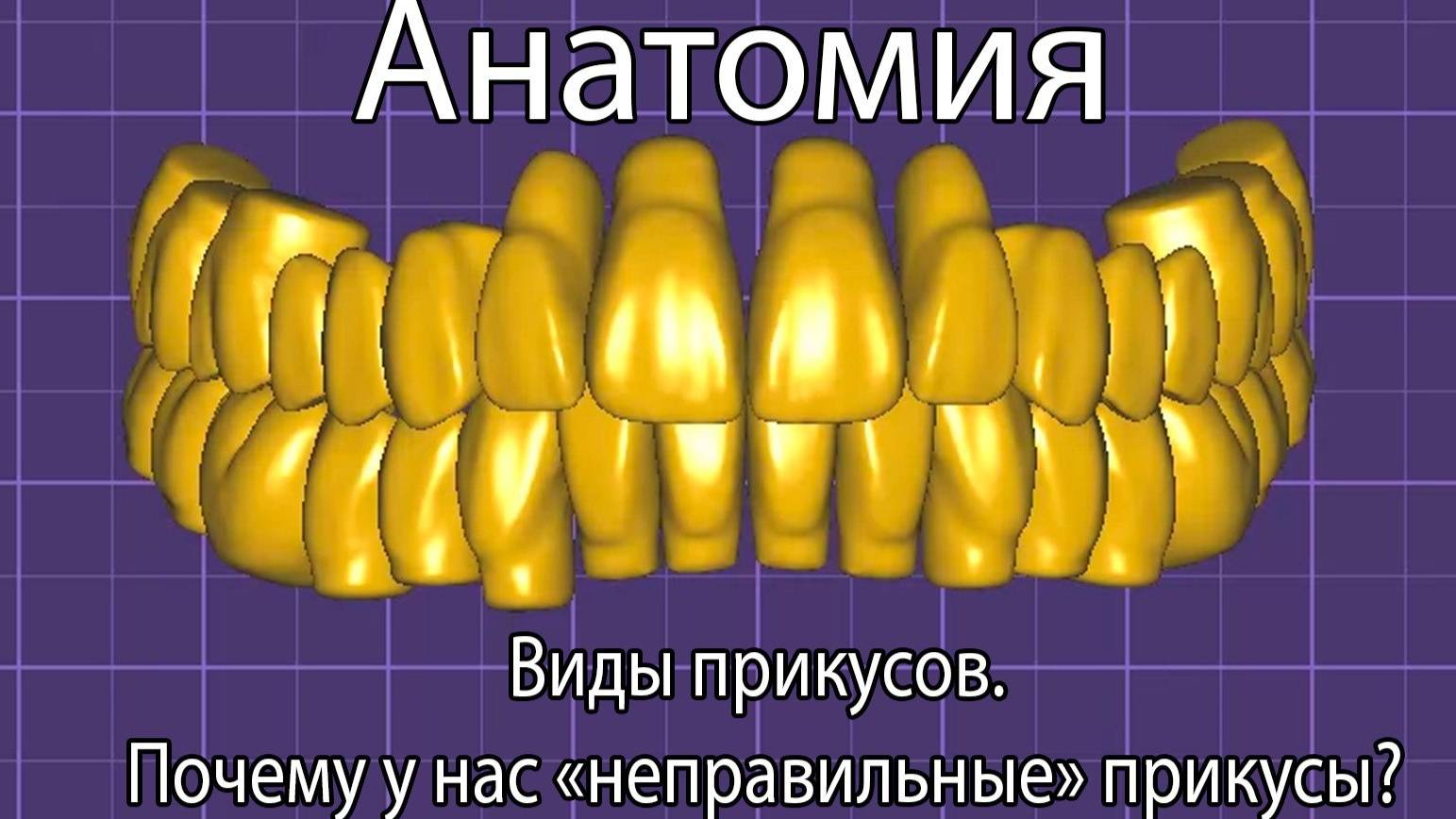 Виды прикусов. Почему у нас "неправильные" прикусы?