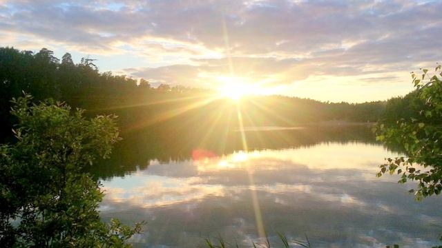 МАСТЕРА ГЕНЕТИЧЕСКИХ ЭКСПЕРИМЕНТОВ.