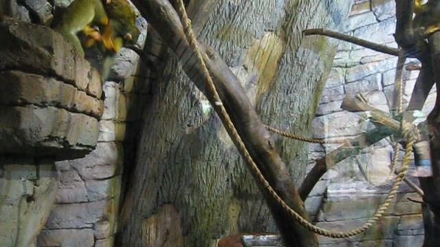 Зоопарк в Минске.