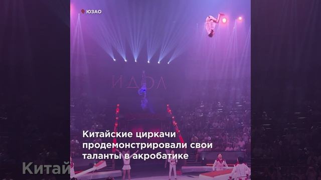 Укротители и акробаты! В Большом Московском цирке прошёл фестиваль «Идол»