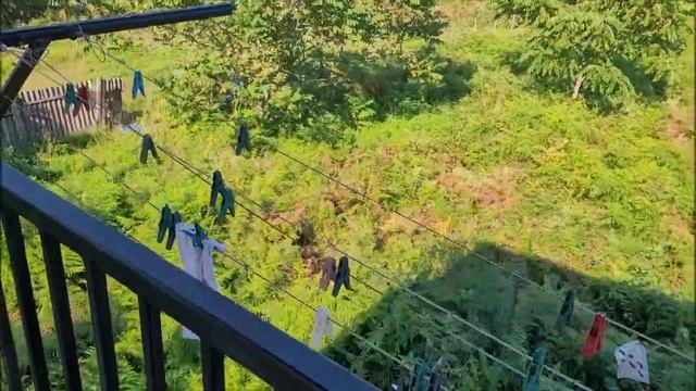 Кобулети. Грузия. Август 2024. В гостях у Ирмы