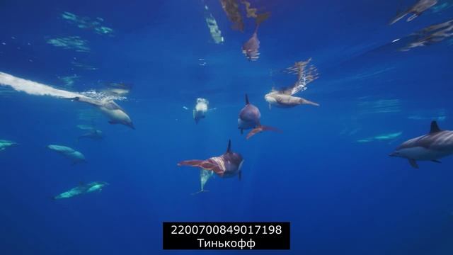 Взыскиваем с взыскателей