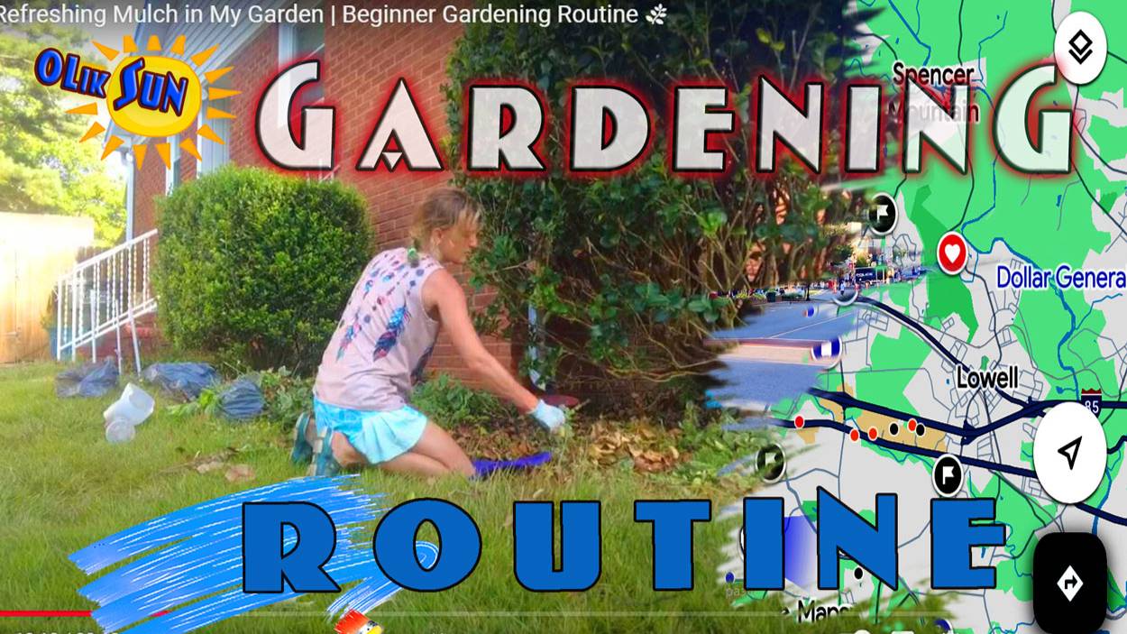 Cleaning and Refreshing Mulch in My Garden | Beginner Gardening Routine 🌿