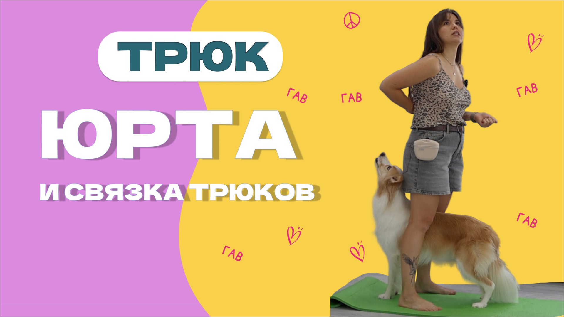ПРОСТОЙ ТРЮК для собак ЮРТА! ОБРАТНЫЙ ДОМИК и связка трюков