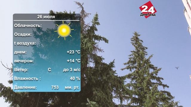 Погода на завтра. 25.07.2025