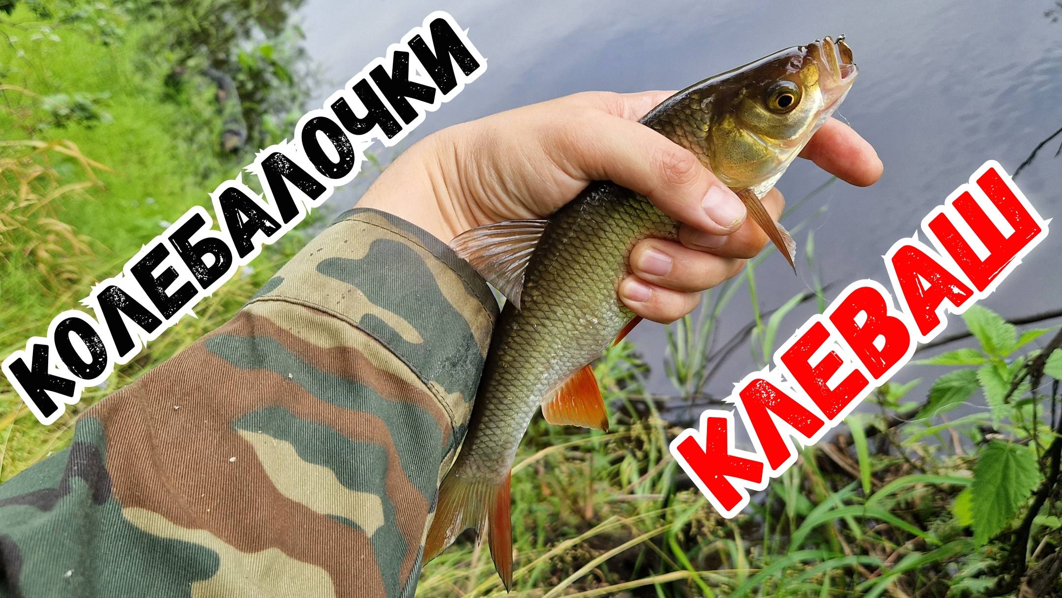 Мормоколебалки "КЛЕВАШ" - ультралайт на красивой речке