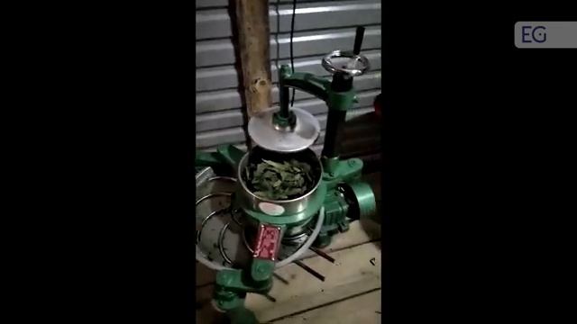 Машина для скрутки чая DL-6CRT-25