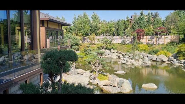 Японский сад #Парк Галицкого #Краснодар