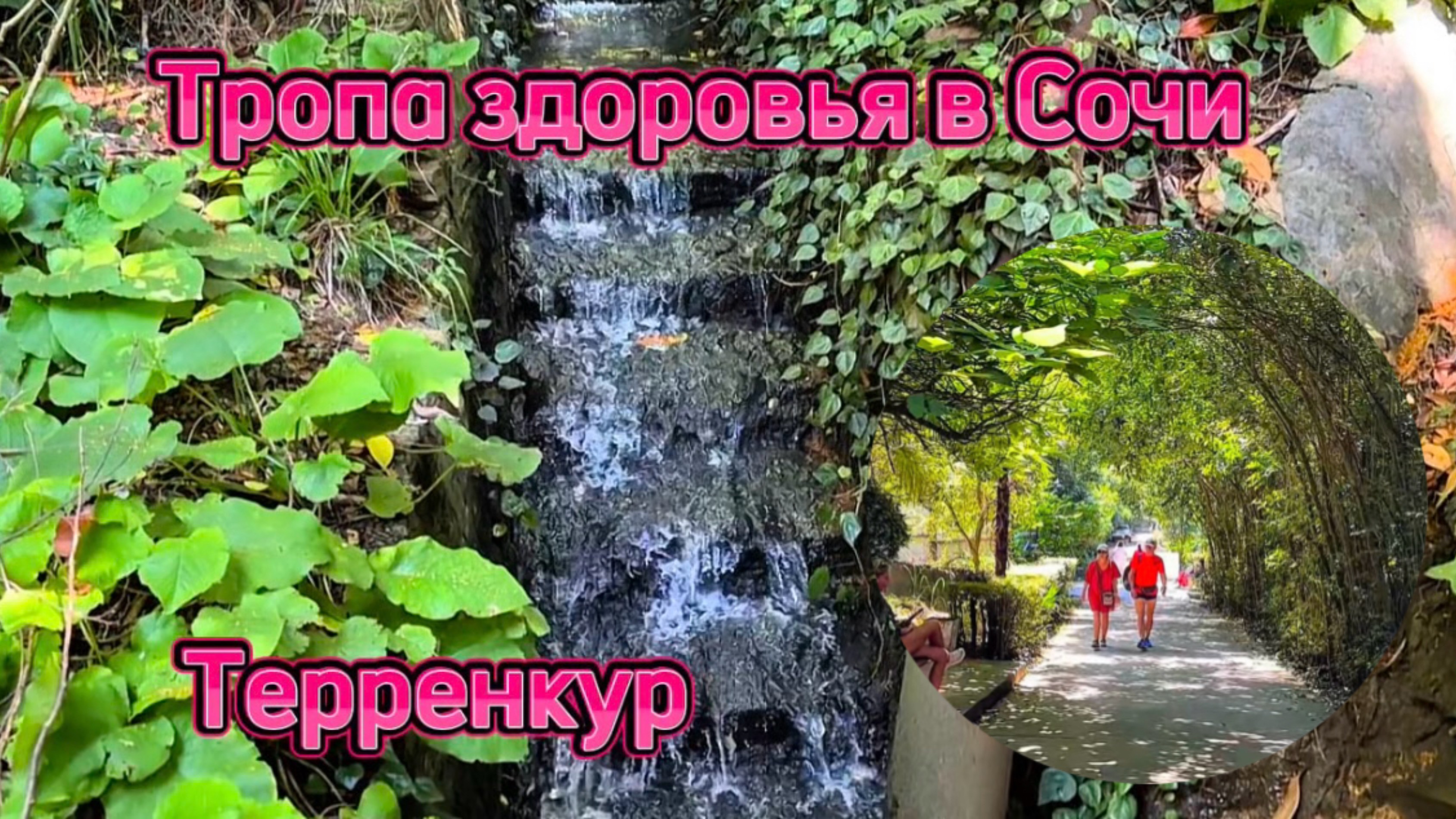 Тропа здоровья в Сочи. Терренкур.