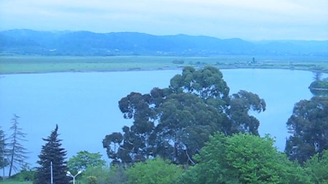 阿布哈茲、皮聰大