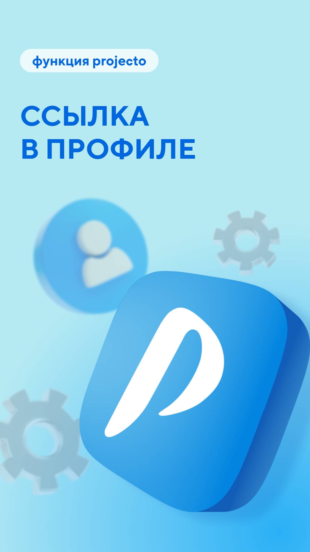 В Projecto добавилось новое поле для информации!