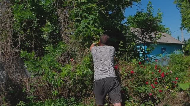 #5/Купили дом в Краснодарском крае /убираем участок/до и после/цыплятки