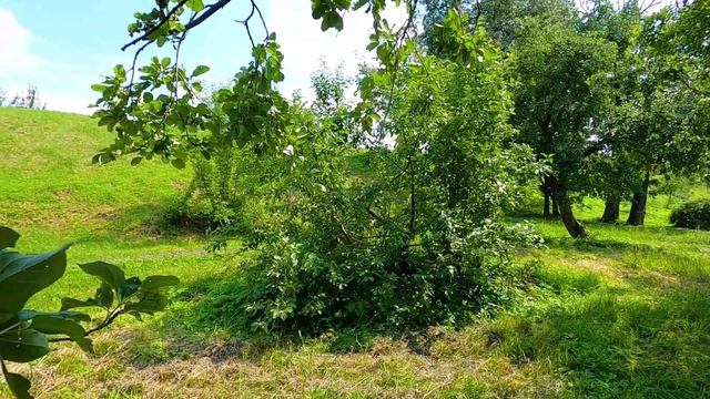 Вальдемар 25. 26 серия. Моя Графиня