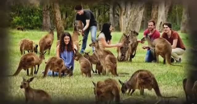 ...Почему Австралия такая богатая страна...