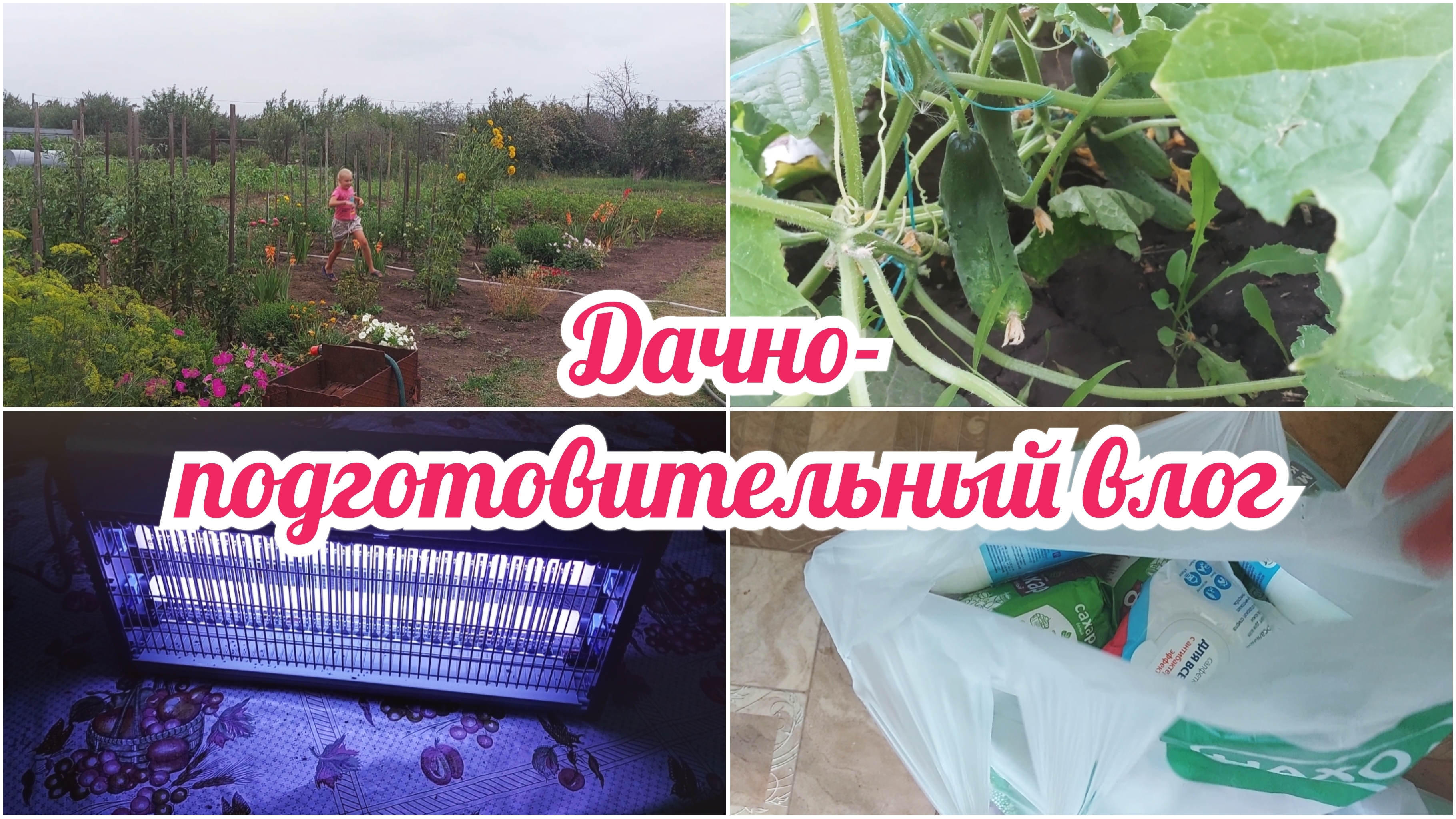 НАВОДИМ ПОРЯДОК В ДОМИКЕ 🏡 НАШ УРОЖАЙ // ПОКУПКИ К ДР