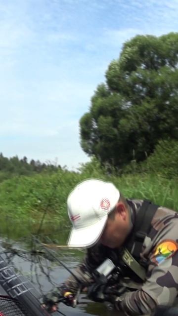 Подход голавля