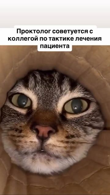 Проктолог советуется с коллегой по тактике лечения пациента