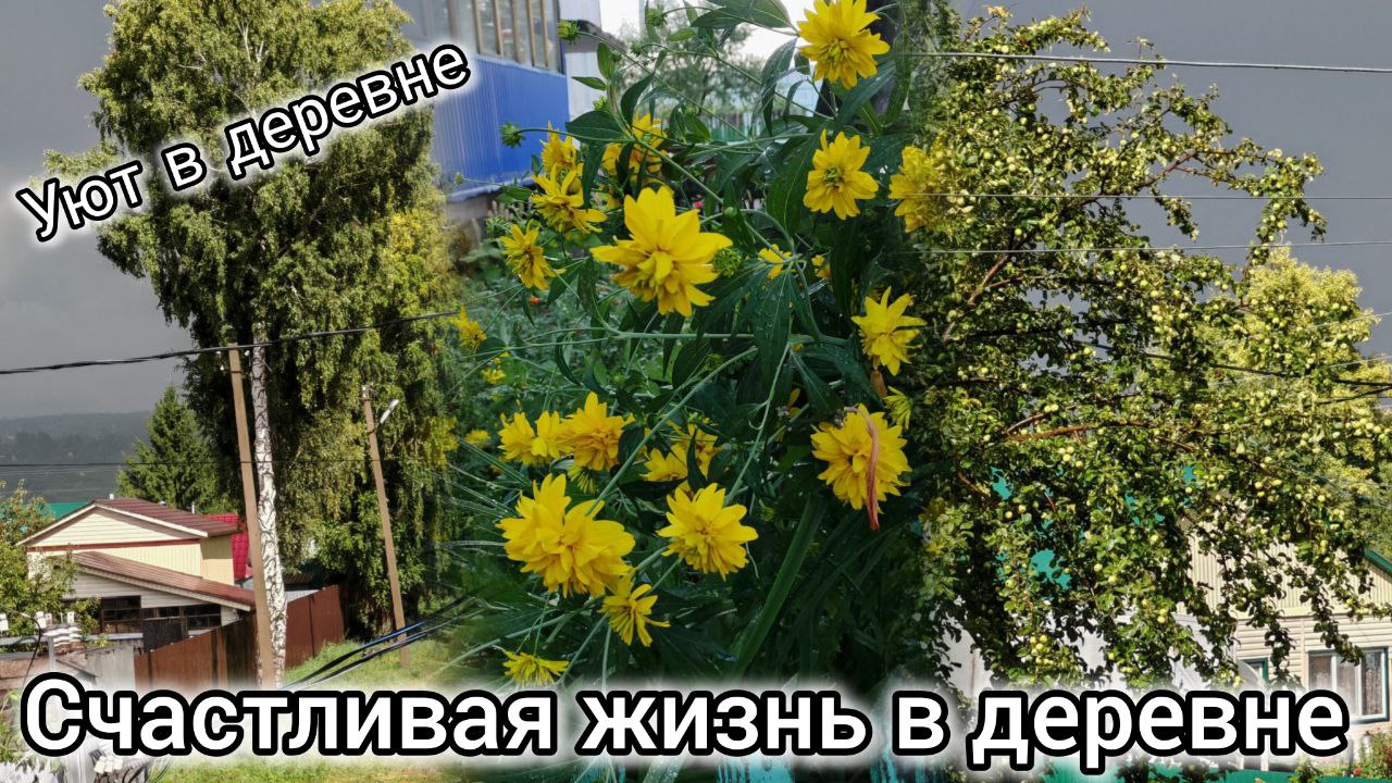 Уютная и счастливая жизнь в деревне, влог, летние деньки в деревне