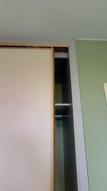 Проект встроенного шкафа-купе