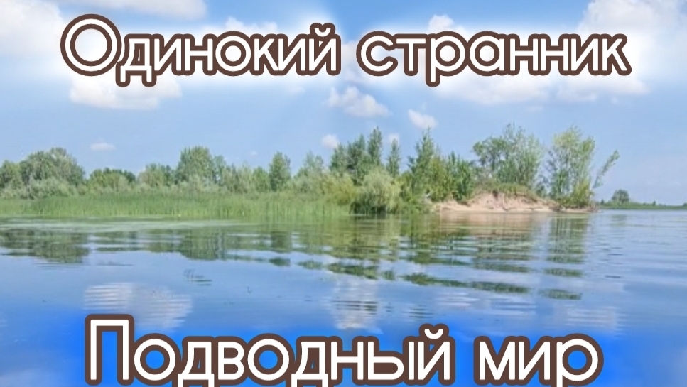 Одинокий странник. Подводный мир. Один в поле Воин. Волга.