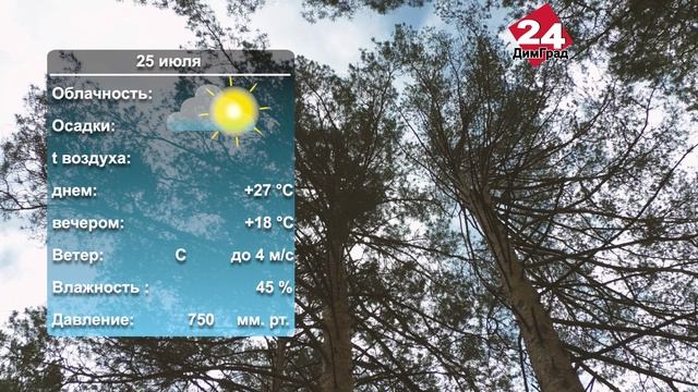 Погода на завтра. 24.07.2025