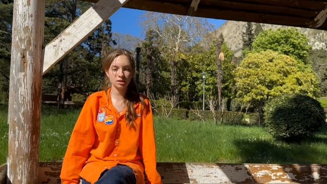 "Артек - люди", команды "Режиссер на сто лет"