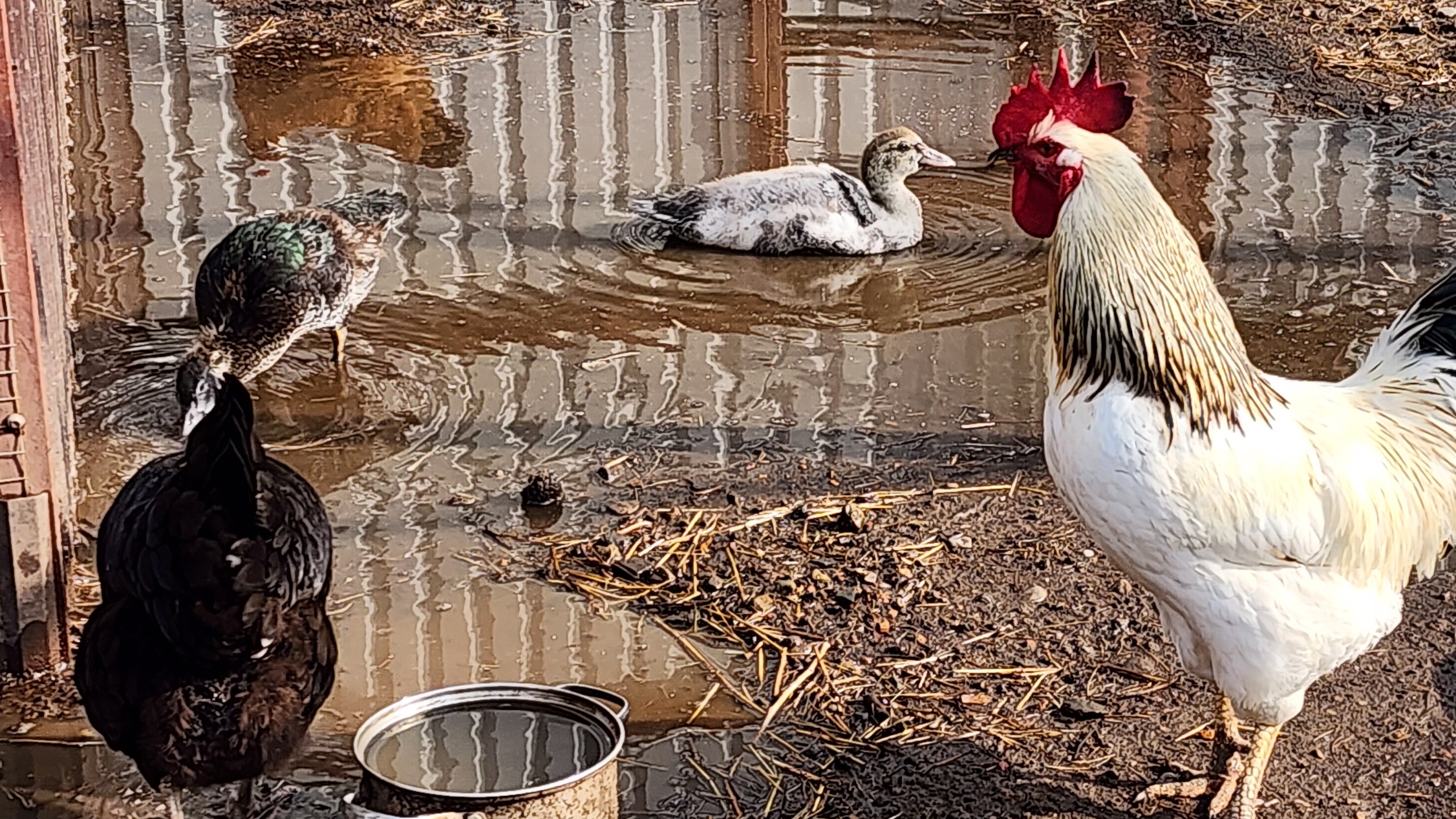 Вчера-сегодня