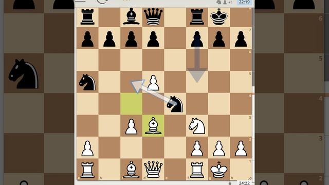 типовая жертва слона