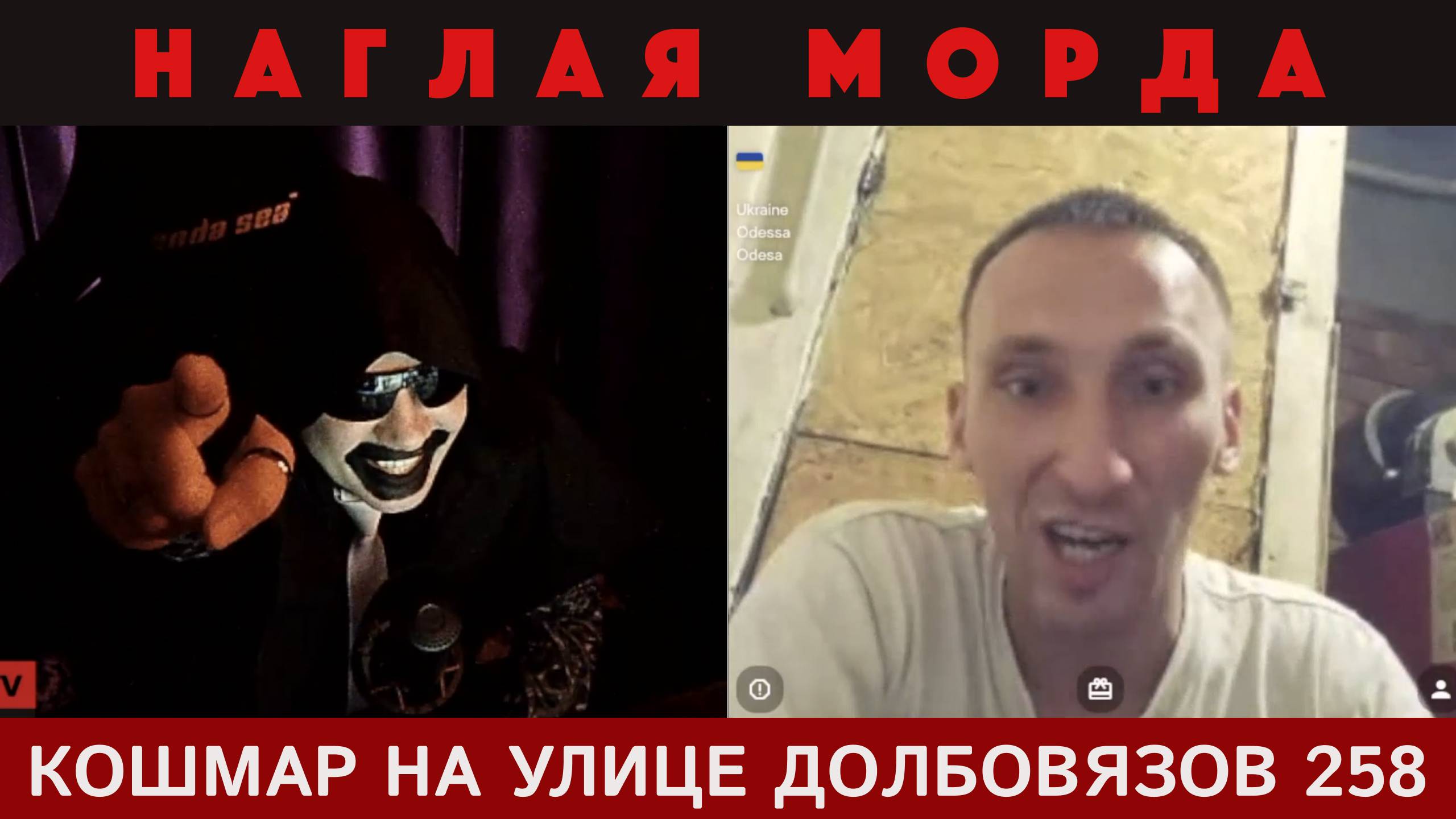 Кошмар на улице Долбовязов 258 | Наглая морда