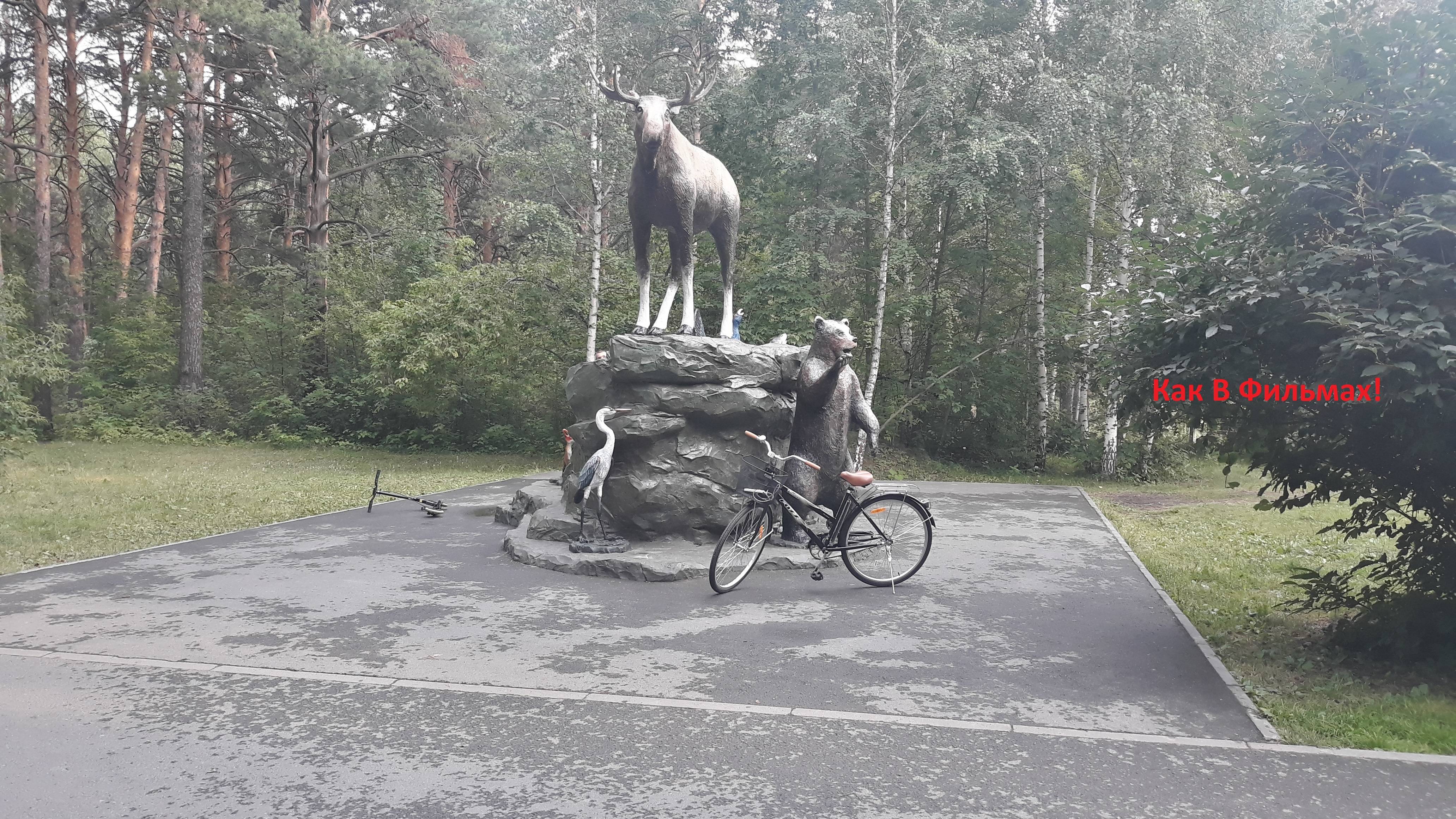 Заказ В Лес-Гилёвская Роща+Обзор, Красивое Место Как В Фильмах Или В Сериалах, Природа(24.07.2025)