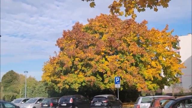 Города Польши. Олесница Oleśnica