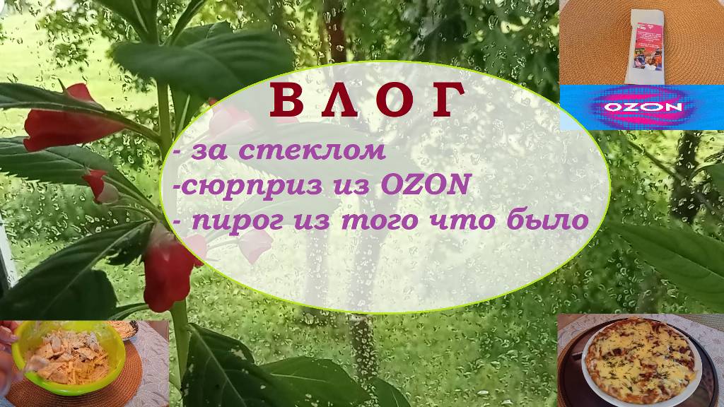 ВЛОГ.Погода, цветы.Сюприз из OZON.ПИРОГ из того что было