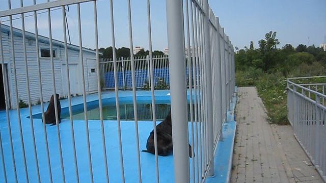 Однажды в Минском зоопарке.