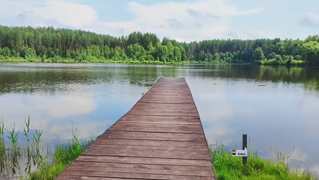 База отдыха ''Сосновый бор" .