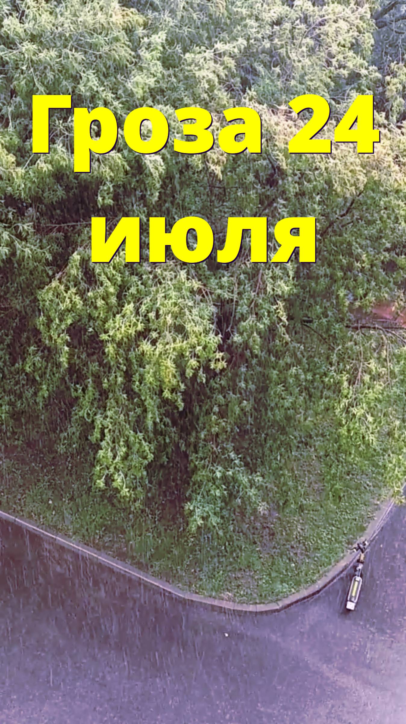 Гроза 24 июля (очень громко!)