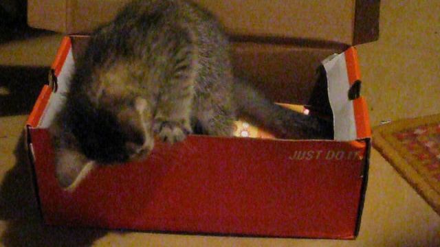 Обустройство Бусинки (архивные записи).